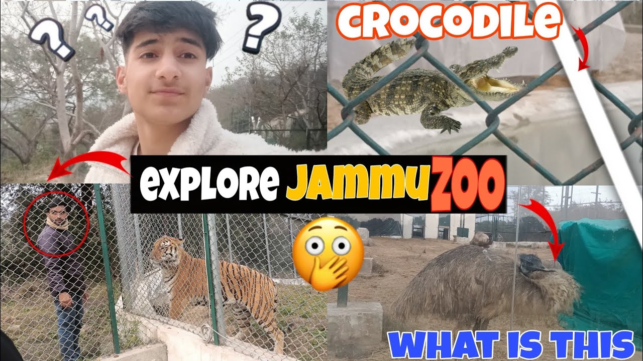 Explore Jammu Zoo 😍 - YouTube