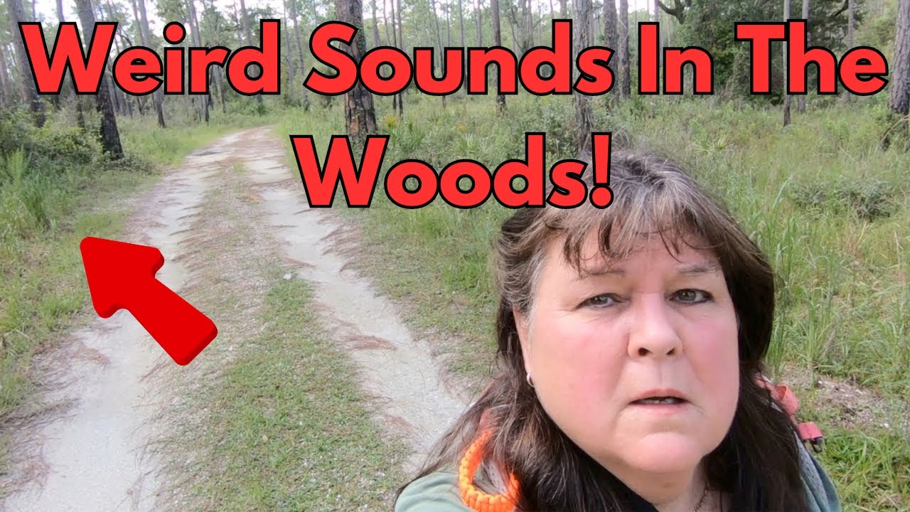 Weird Sounds On My Recorder Left In The Woods While Hiking! - YouTube