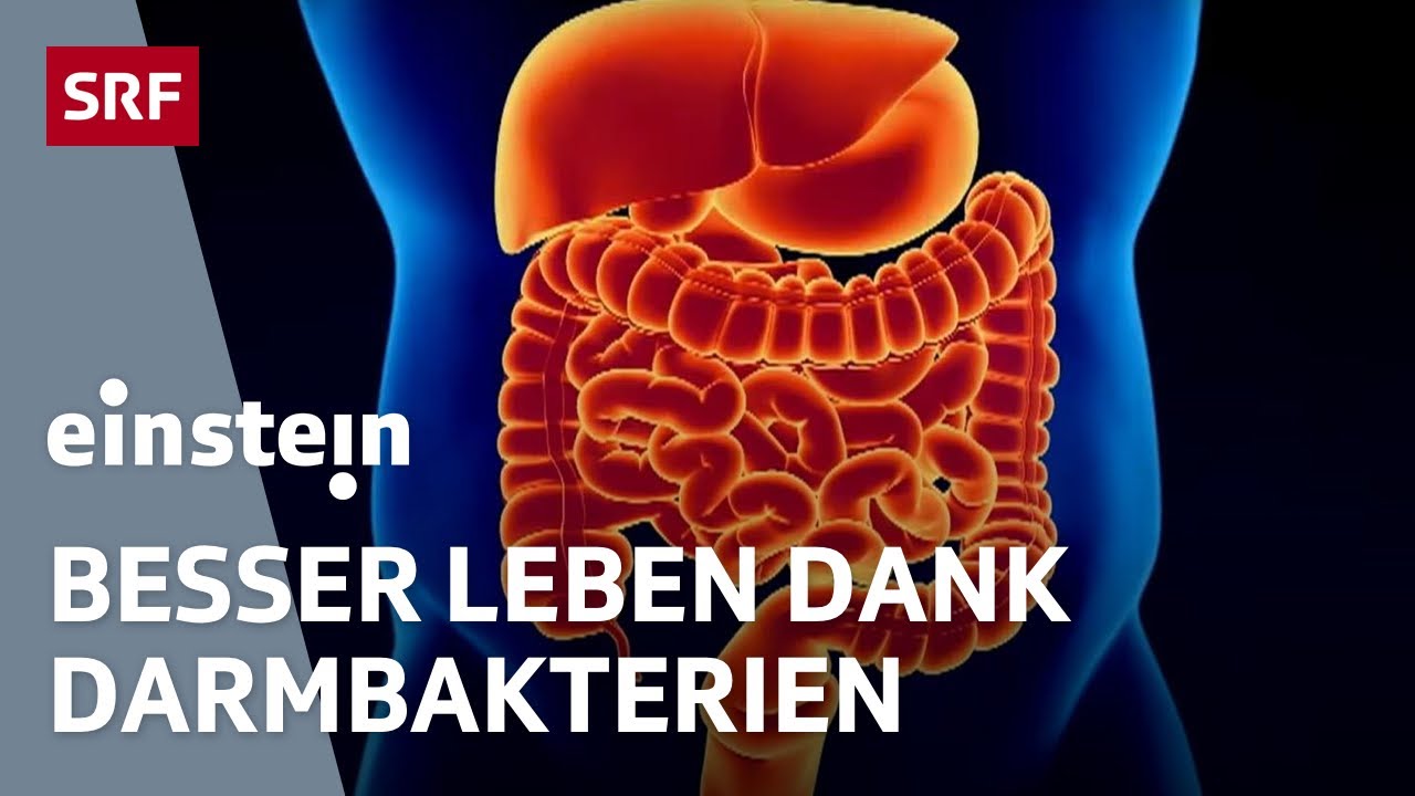 Mikrobiom – wie die Bakterien im Darm über unsere Gesundheit ...