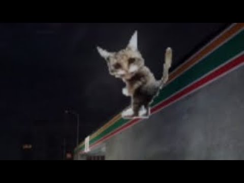Cat nextbot jumpcares - YouTube