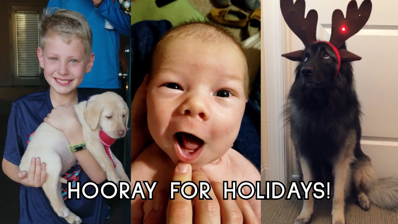 14 Ways To Celebrate The Holidays YouTube 14-ways-to-celebrate-the-holidays-youtube