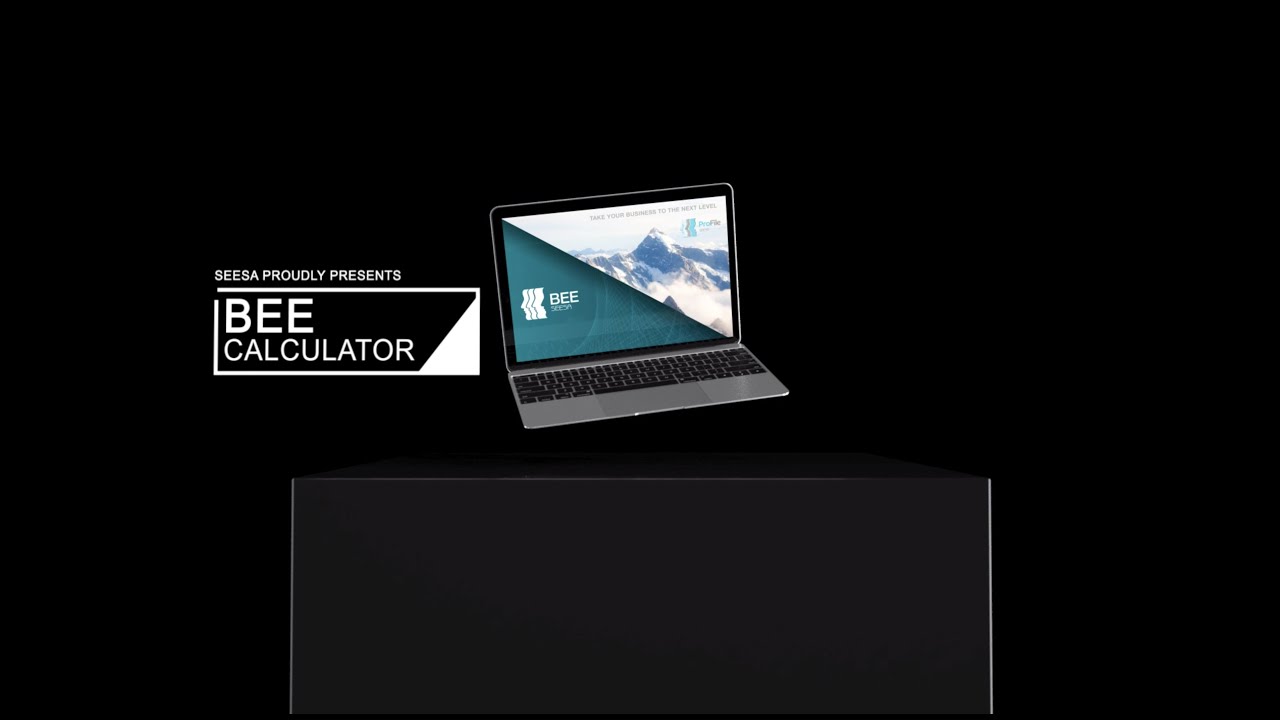 SEESA ProFile BEE Scorecard Calculator - YouTube
