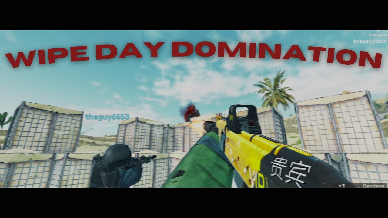 HOW WE DOMINATED THE SERVER ON WIPE DAY - Fallen V5 - YouTube