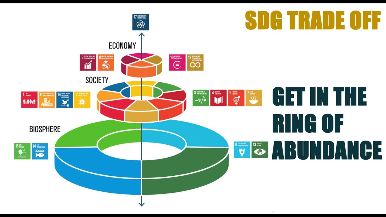 SDG trade-off Corporate Evaluation Process - YouTube