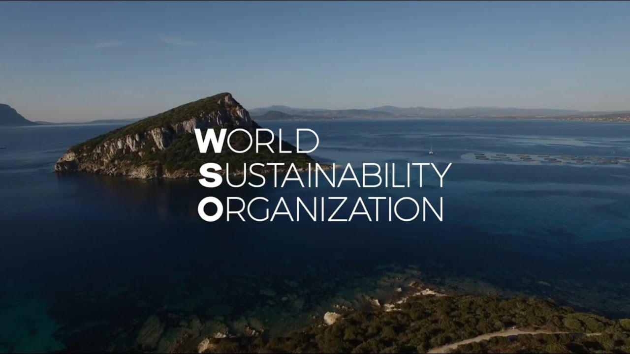World Sustainability Organization - Official Video - YouTube