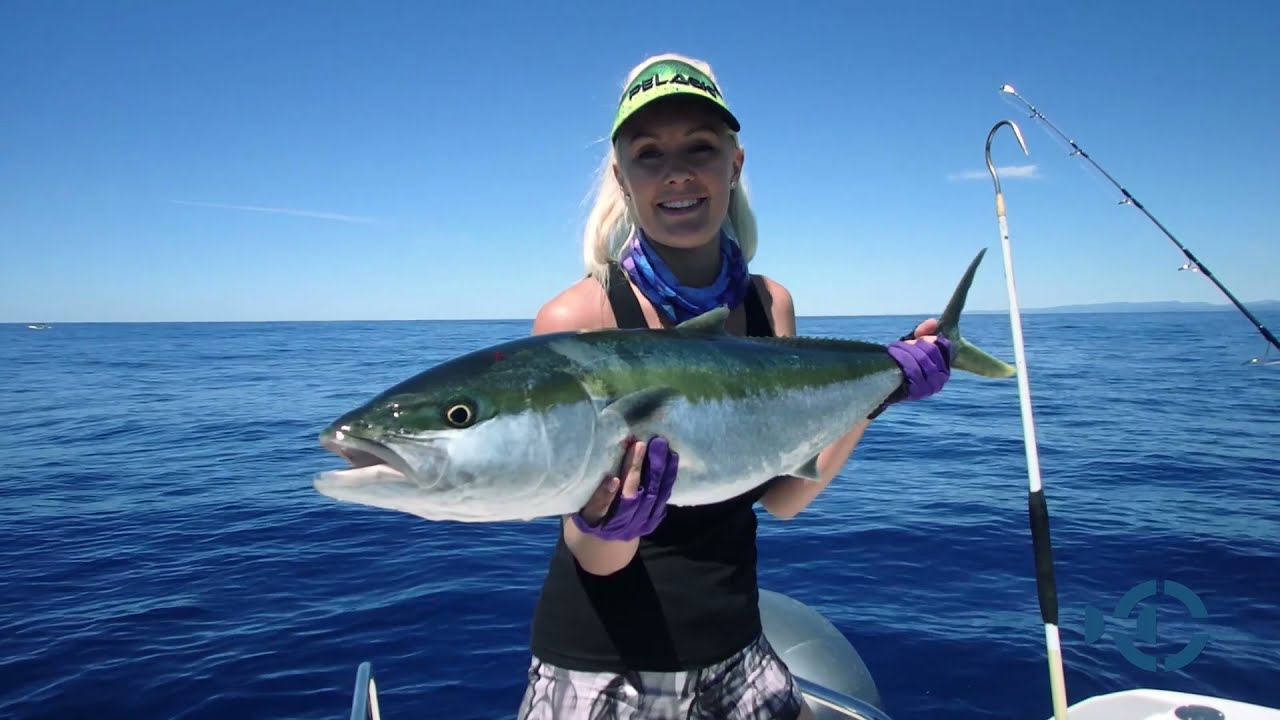 Hooked On Brooke Lands a Kingfish with Livebaits! - YouTube