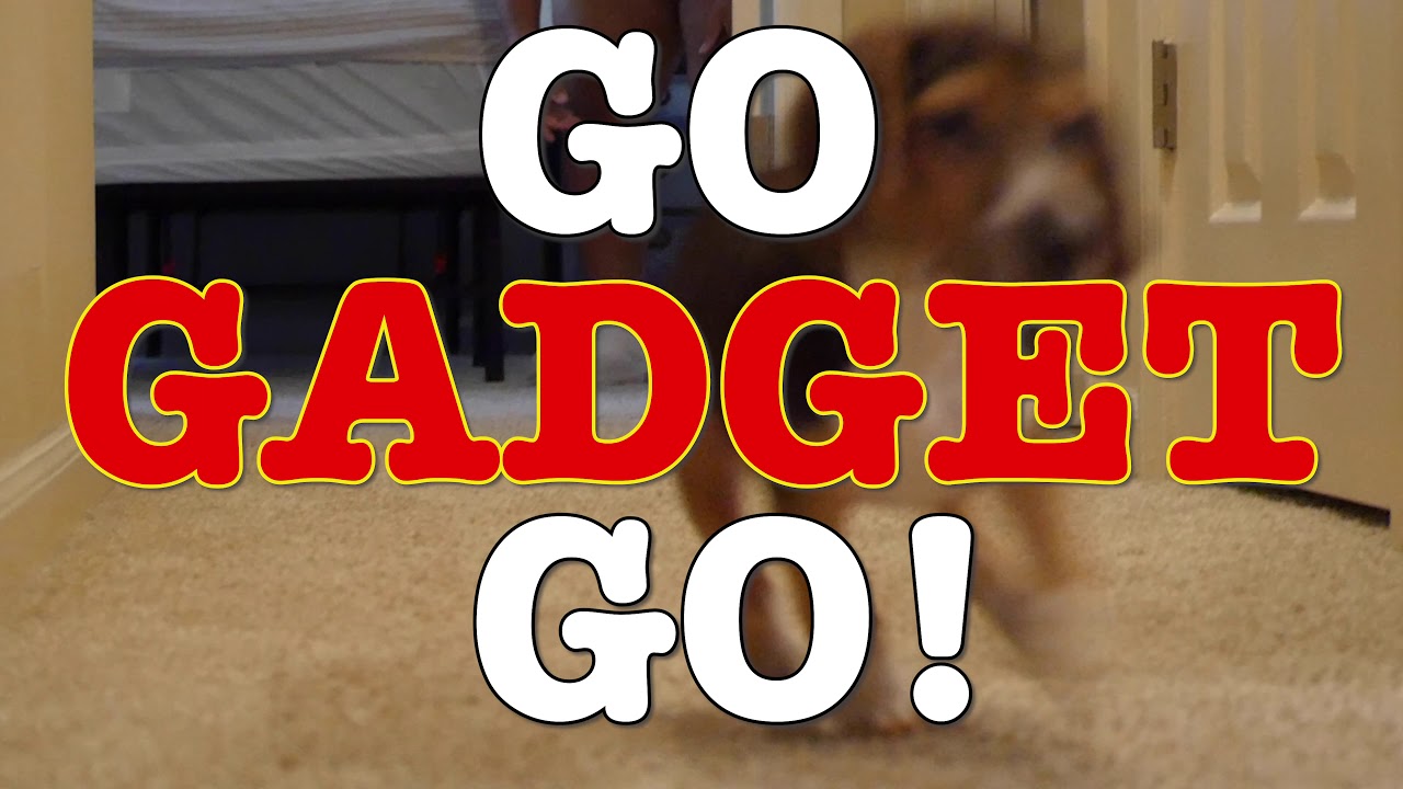 Go Gadget Go! - YouTube