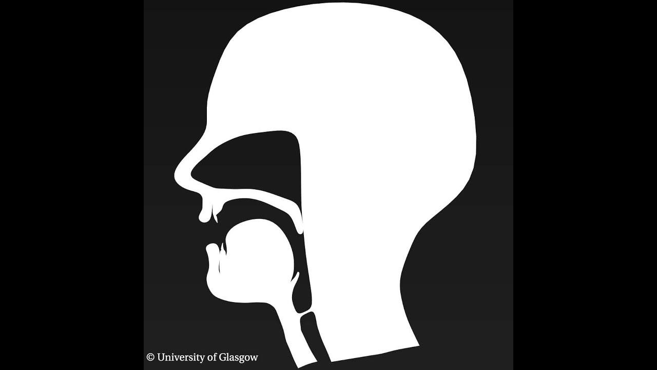 voiced bilabial nasal - YouTube