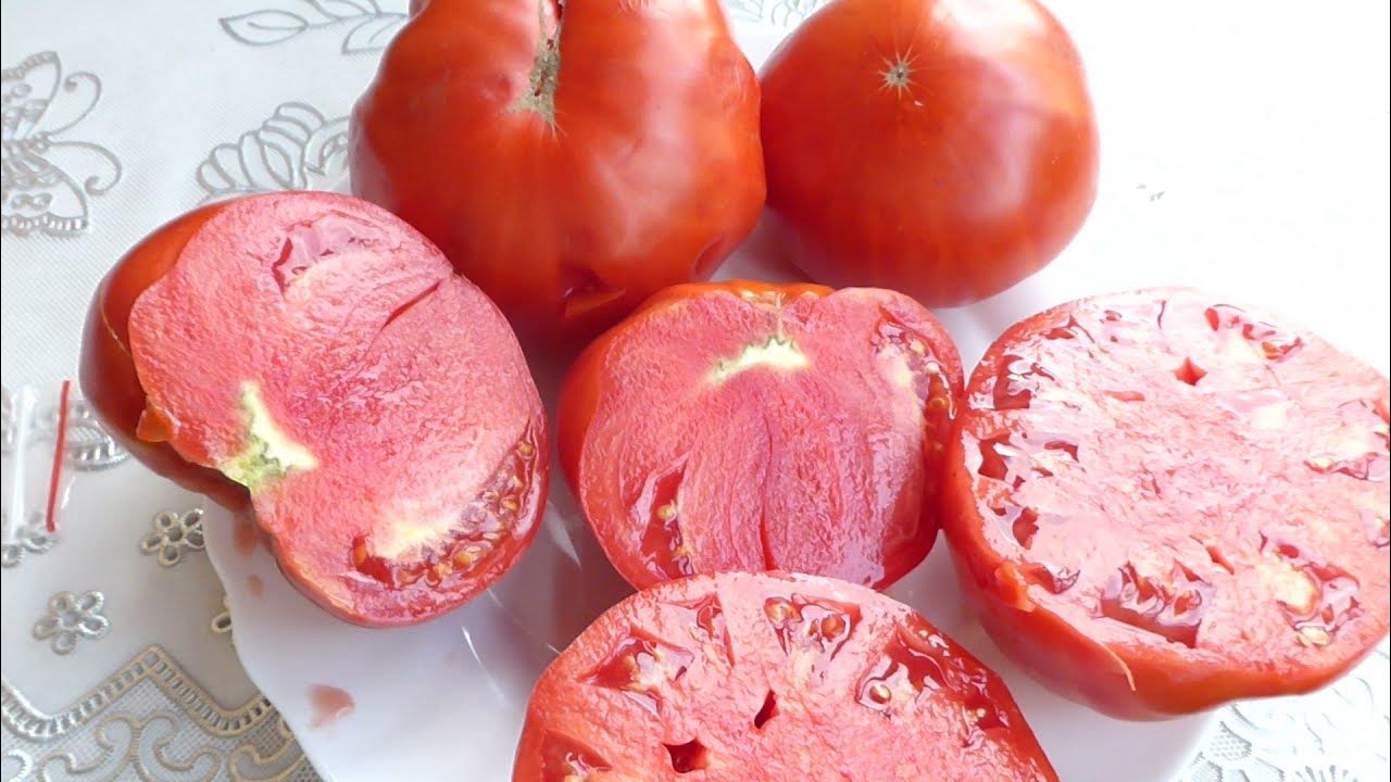 Ла-Кадеро, Furiozi Ramula или Яростный Рамула - YouTube