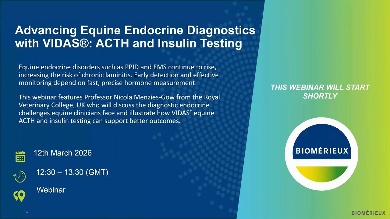 Advancing Equine Endocrine Diagnostics with VIDAS®: ACTH and Insulin ...