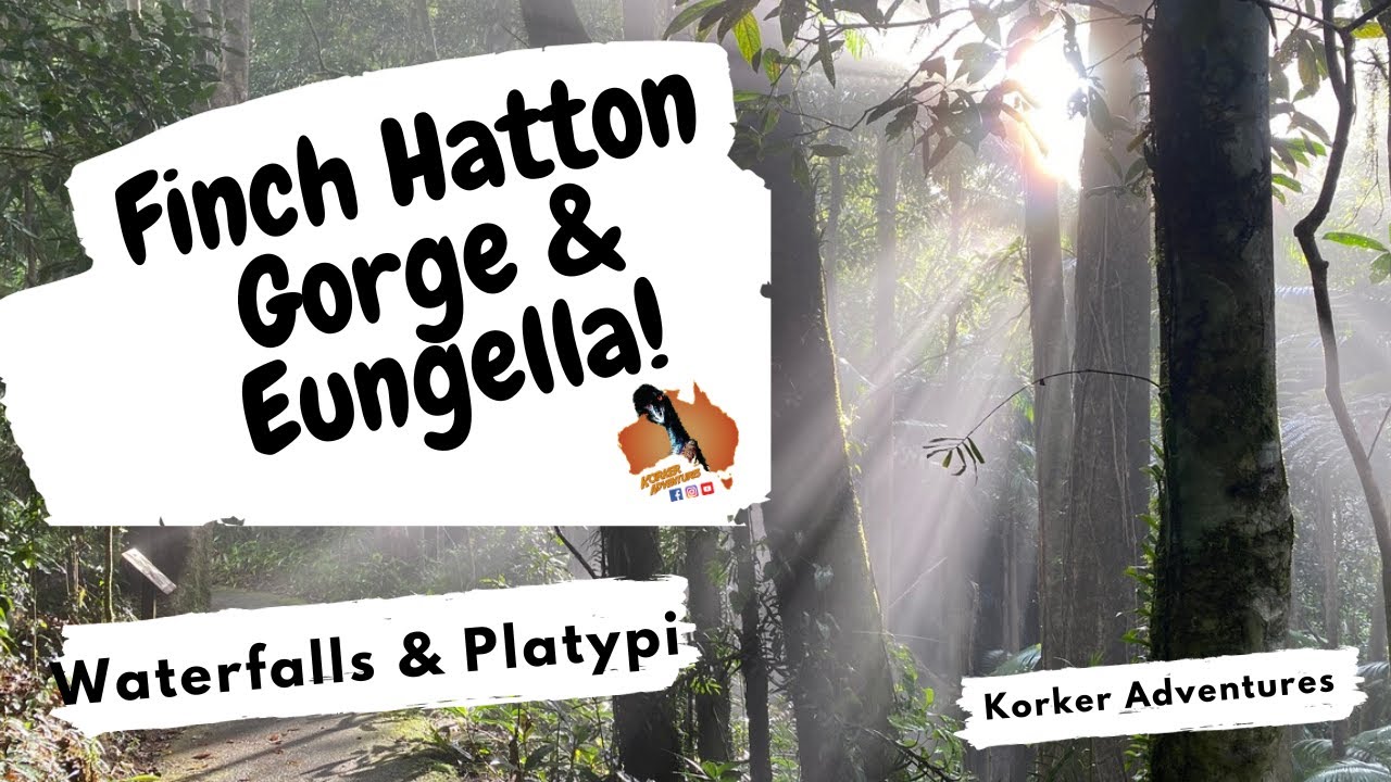 Finch Hatton Gorge, Eungella & Mackay HD 1080p - YouTube