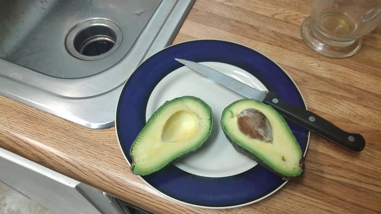 Avocado windfall: can you eat it? - YouTube