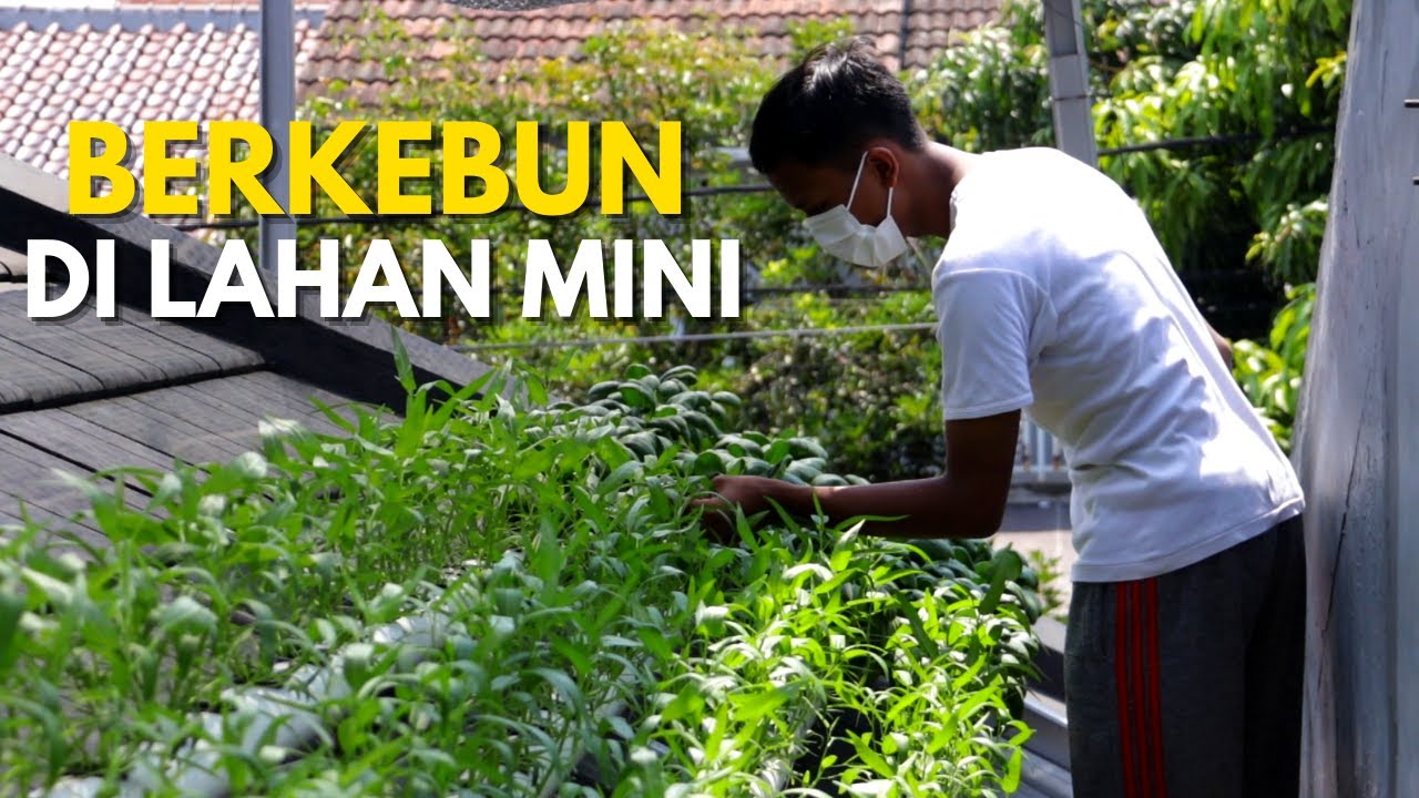 Inspirasi Kebun Mini - YouTube