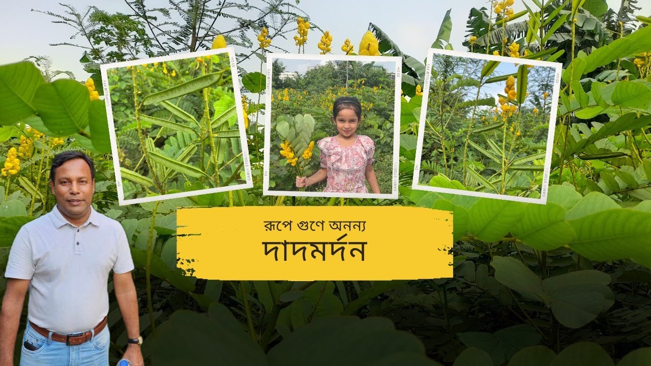 রূপে গুণে অনন্য দাদমর্দন | DADMORDON | Mokaram Hossain - YouTube