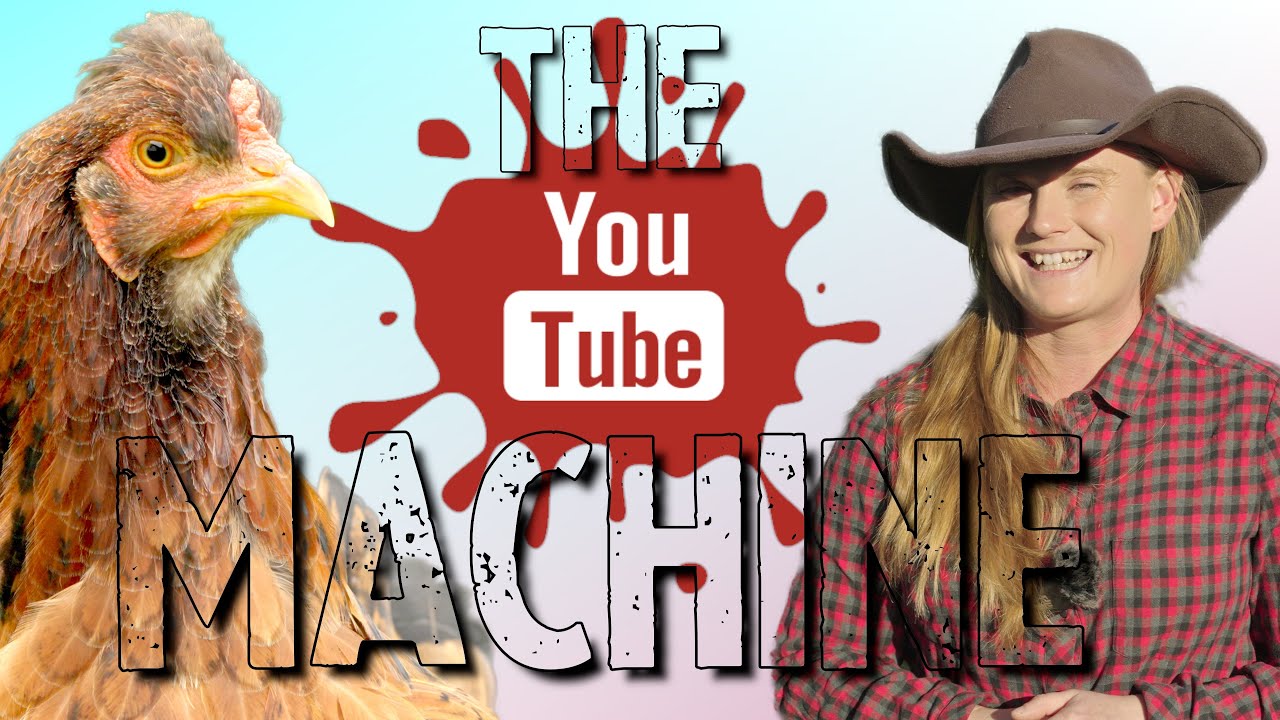 What Made Me Start a Chicken Channel on YouTube? - YouTube
