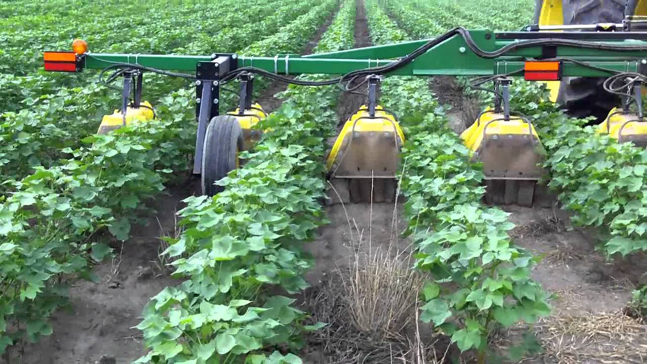 Hooded Sprayer Cotton - YouTube