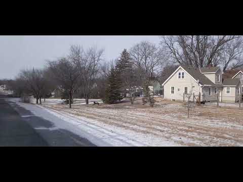 Otis and Lily 2-7-2025