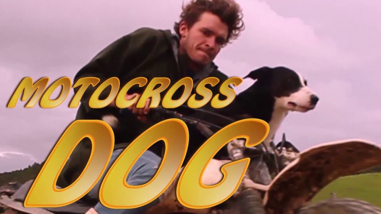 MOTOCROSS DOG YouTube motocross-dog-youtube