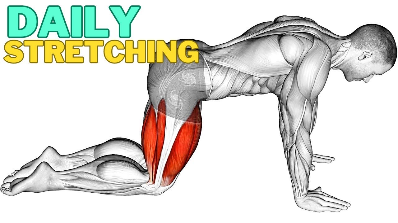 My Daily Stretching On The Floor | Floor Exercises - YouTube