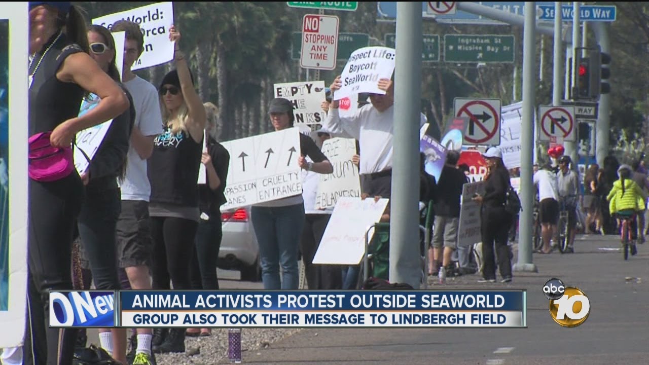 Animal activists protest outside SeaWorld San Diego: Group also took ...