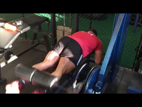 Lying Leg Curl Exercise Form Tips and Instruction | Tiger Fitness - YouTube