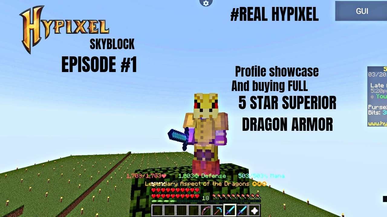 EPISODE #1 PROFILE SHOWCASE AND BUYING 5 STAR SUPERIOR DRAGON ARMOR || HYPIXEL SKYBLOCK - YouTube