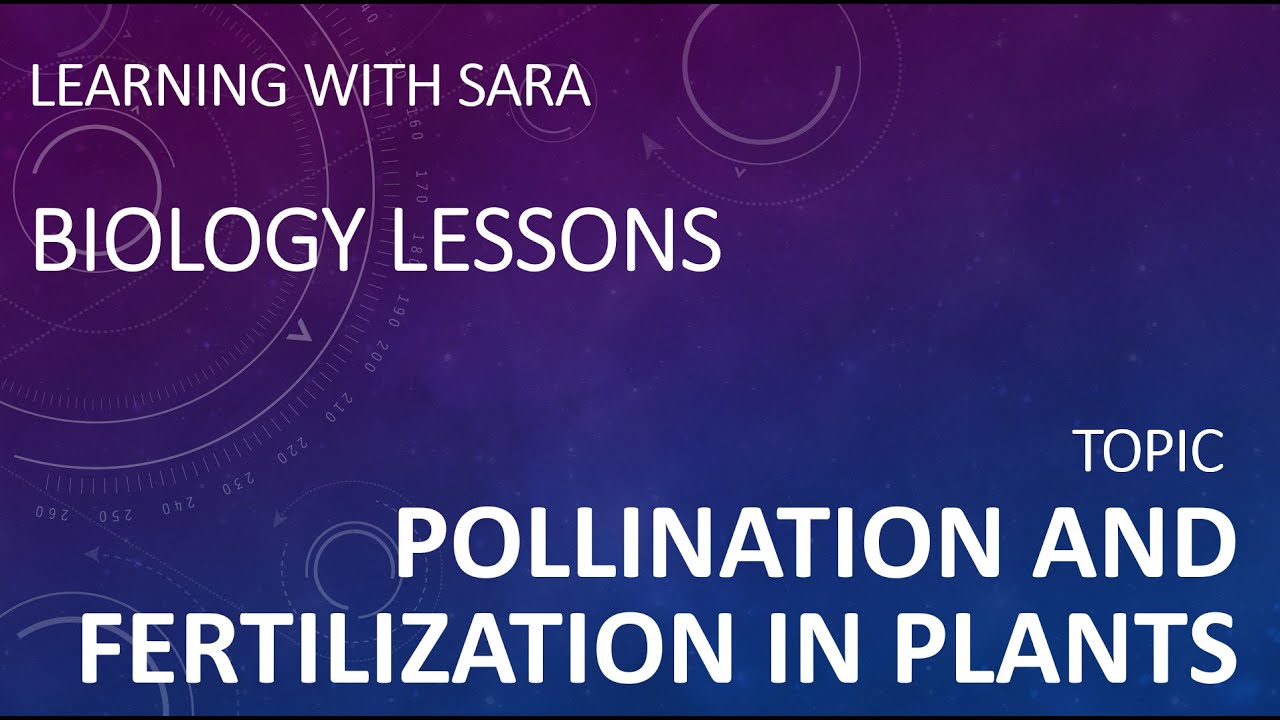Pollination and Fertilization in Plants | Biology Lessons | Learning ...