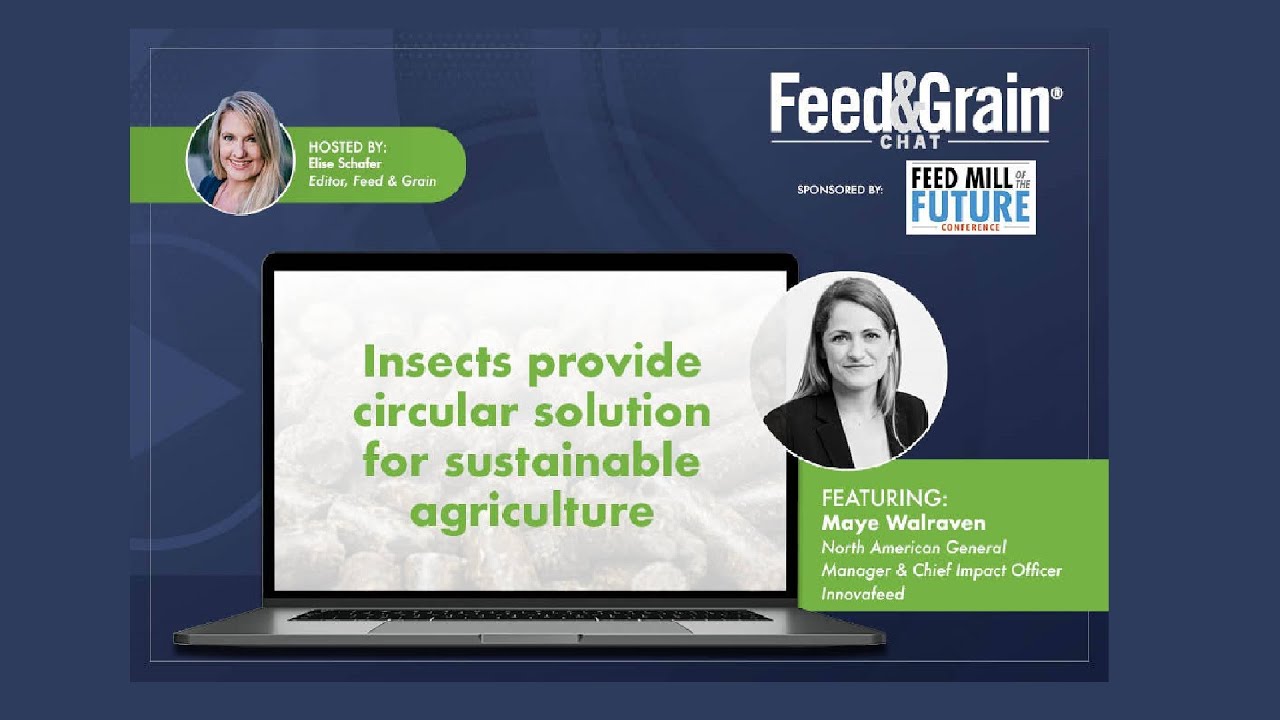 Insects provide circular solution for sustainable agriculture - YouTube