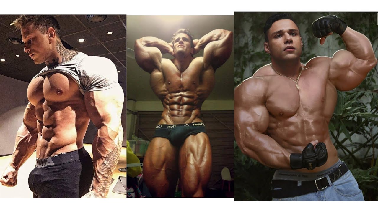 Get Fit and Fabulous: Super Gorgeous Fitness Models and Bodybuilders ...