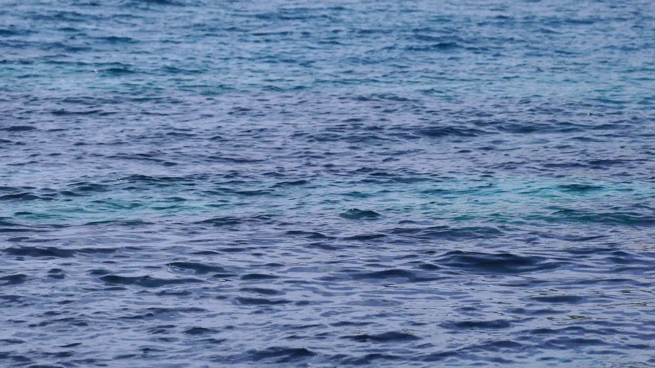 Feel the relaxation - Silent Sea | Beauty of Nature | Creative Commons ...