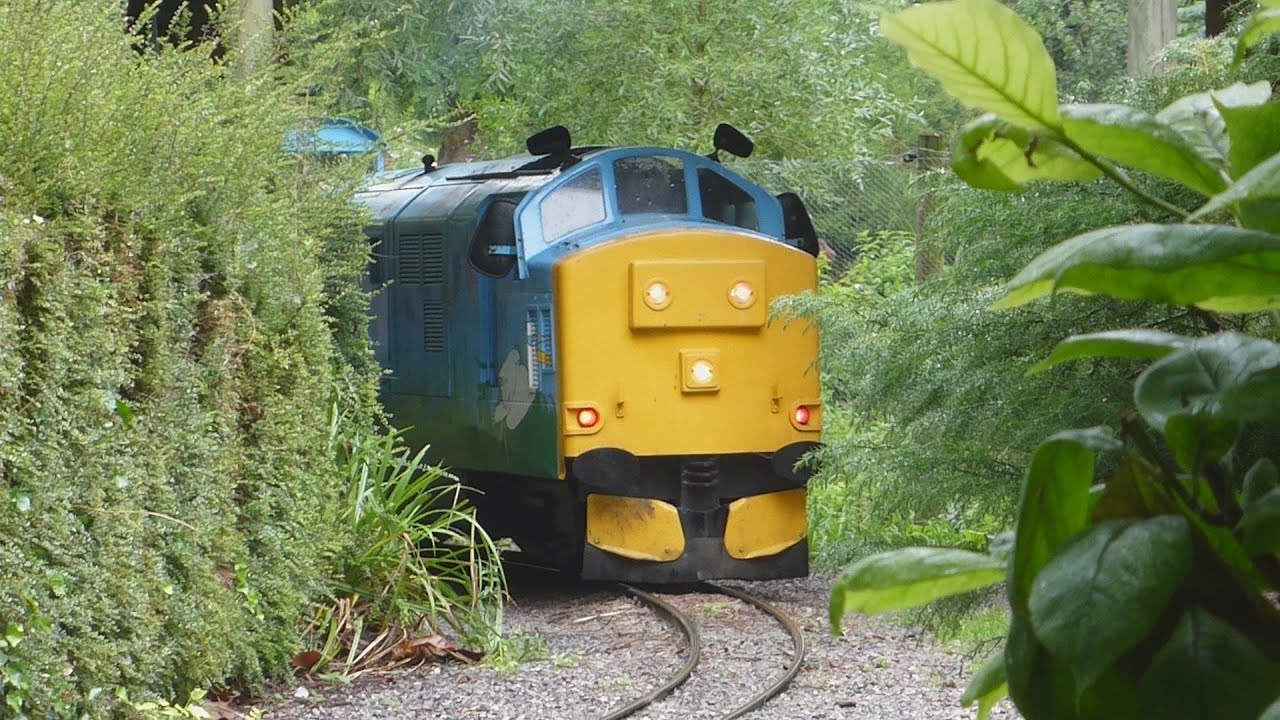 `VERY RARE LIVERY` Class 37 in Devon on 14-08-14...lol - YouTube