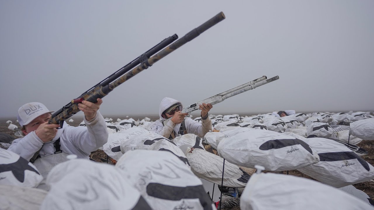 Opening Day of Kansas Snow Goose Conservation Was Epic!! - YouTube