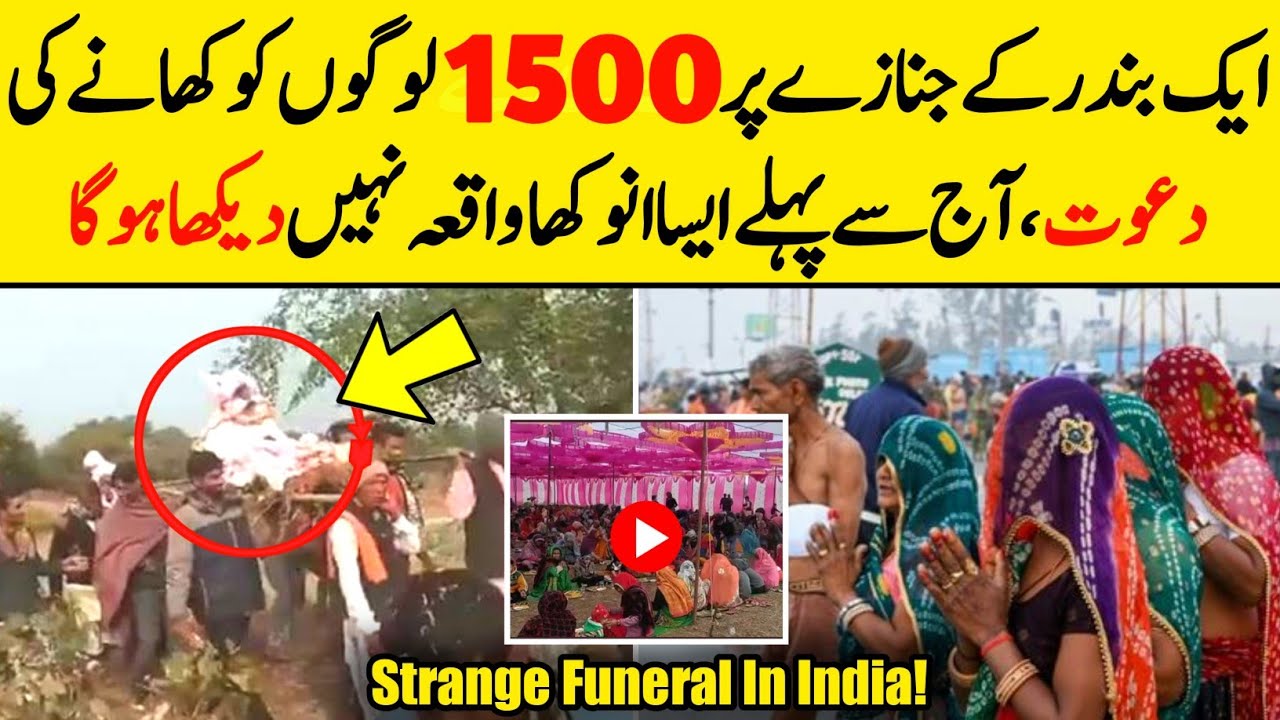 1,500 People Attend Funeral For Monkey In India With Mass Procession ...