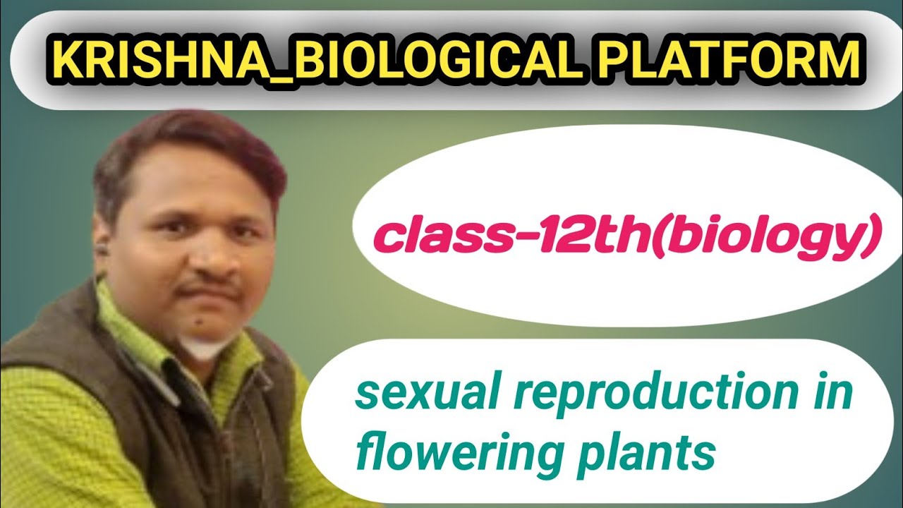 Emasculation and Bagging class 12 th sexual reproduction in flowering ...