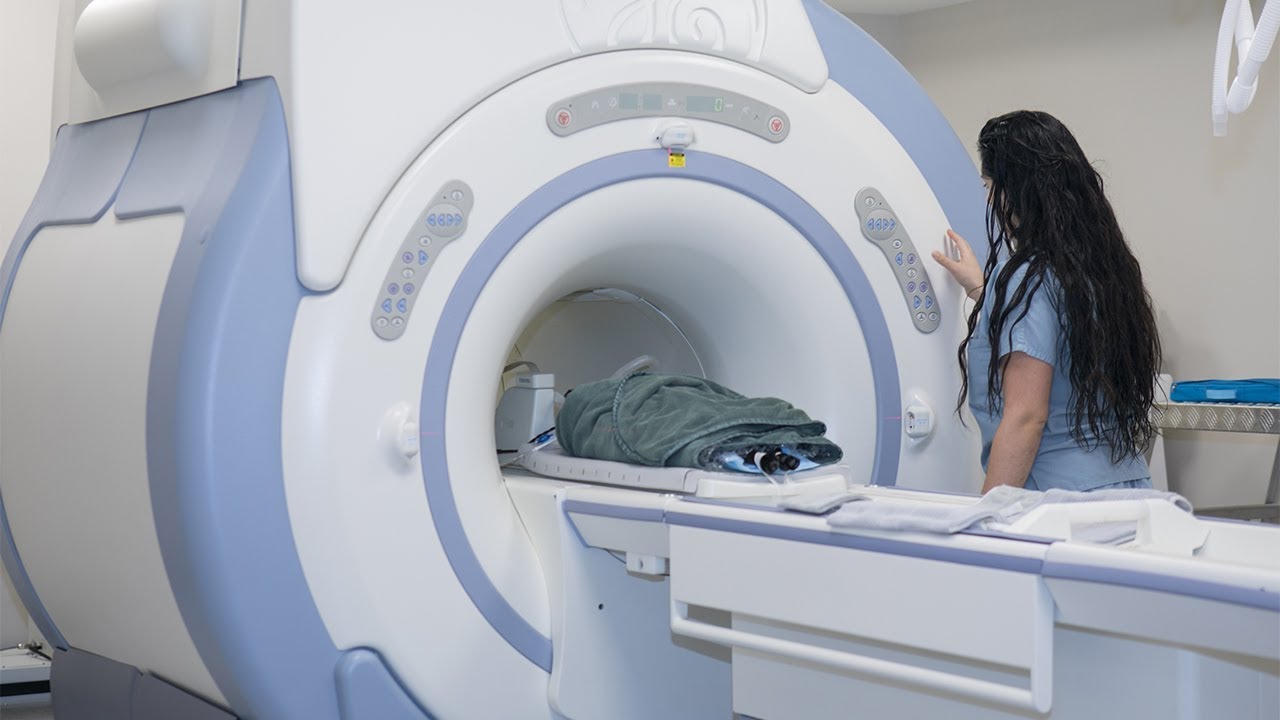 Advanced Imaging at Southeast Veterinary Neurology - YouTube