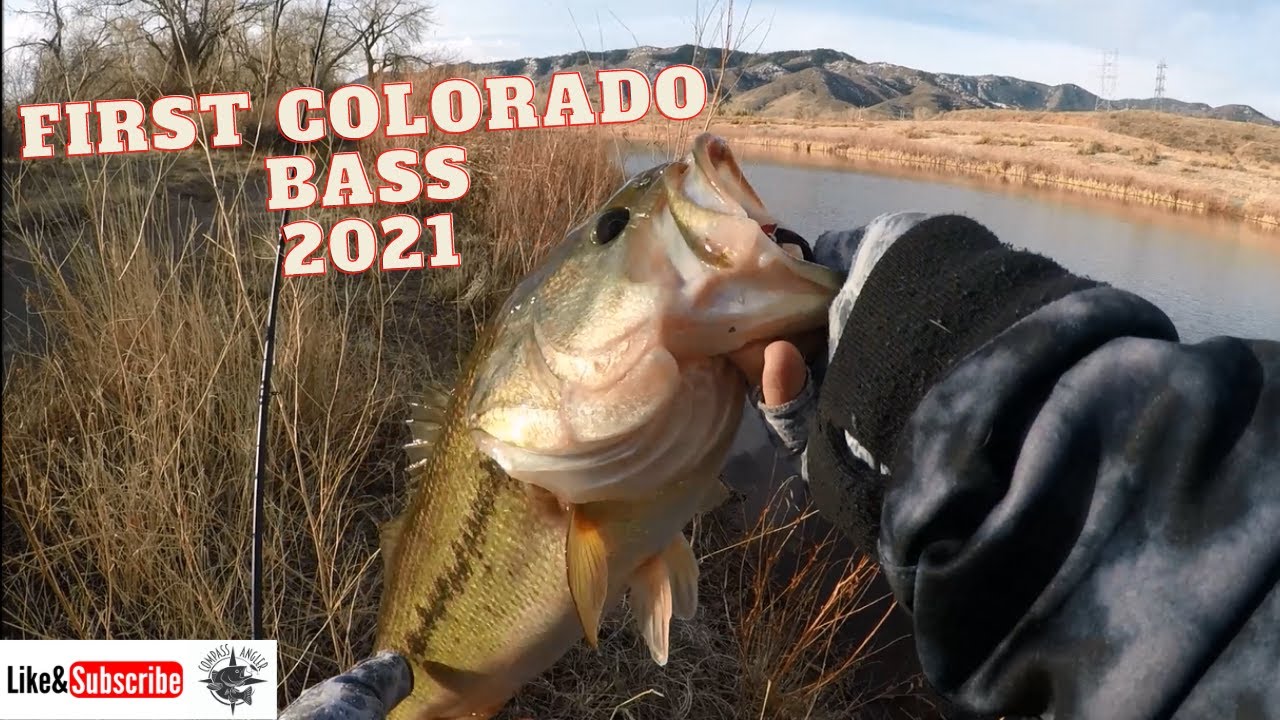 Early Season Colorado Bass Fishing - YouTube