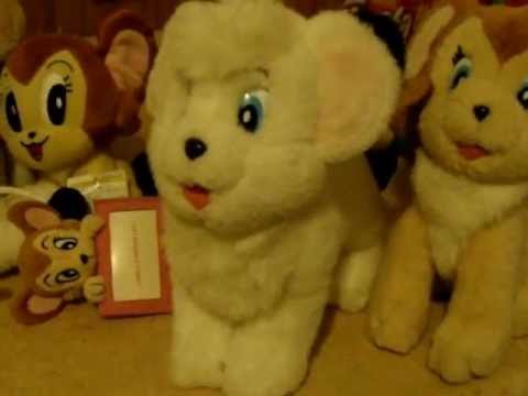 Kimba Collection Quick Update - YouTube