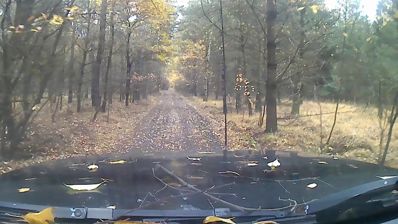 16 november 2018 - YouTube