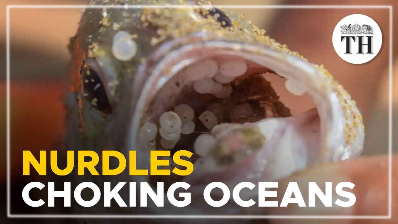 What are nurdles? - YouTube