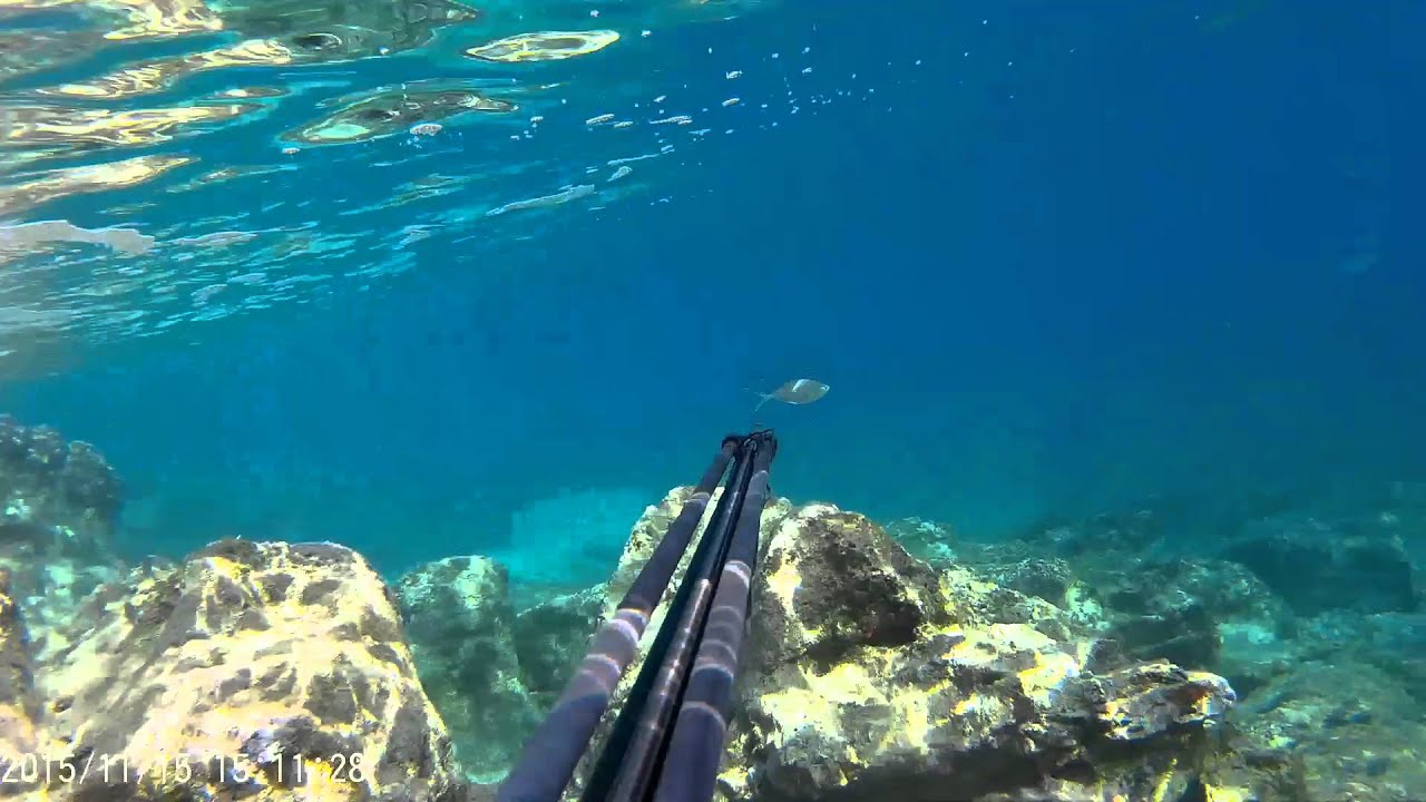 #1 Spearfishing sea world - Ψαροντουφεκο (SFKGR) - YouTube
