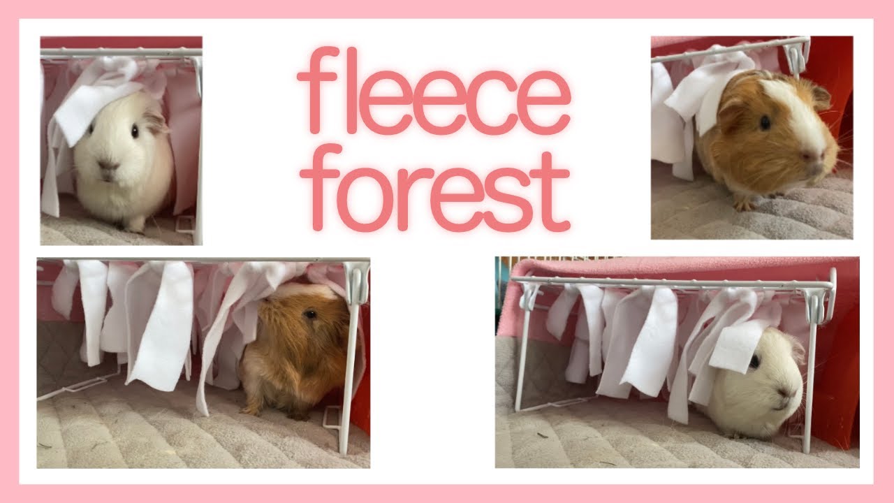 DIY Fleece Forest for Guinea Pigs and Small Pets - YouTube