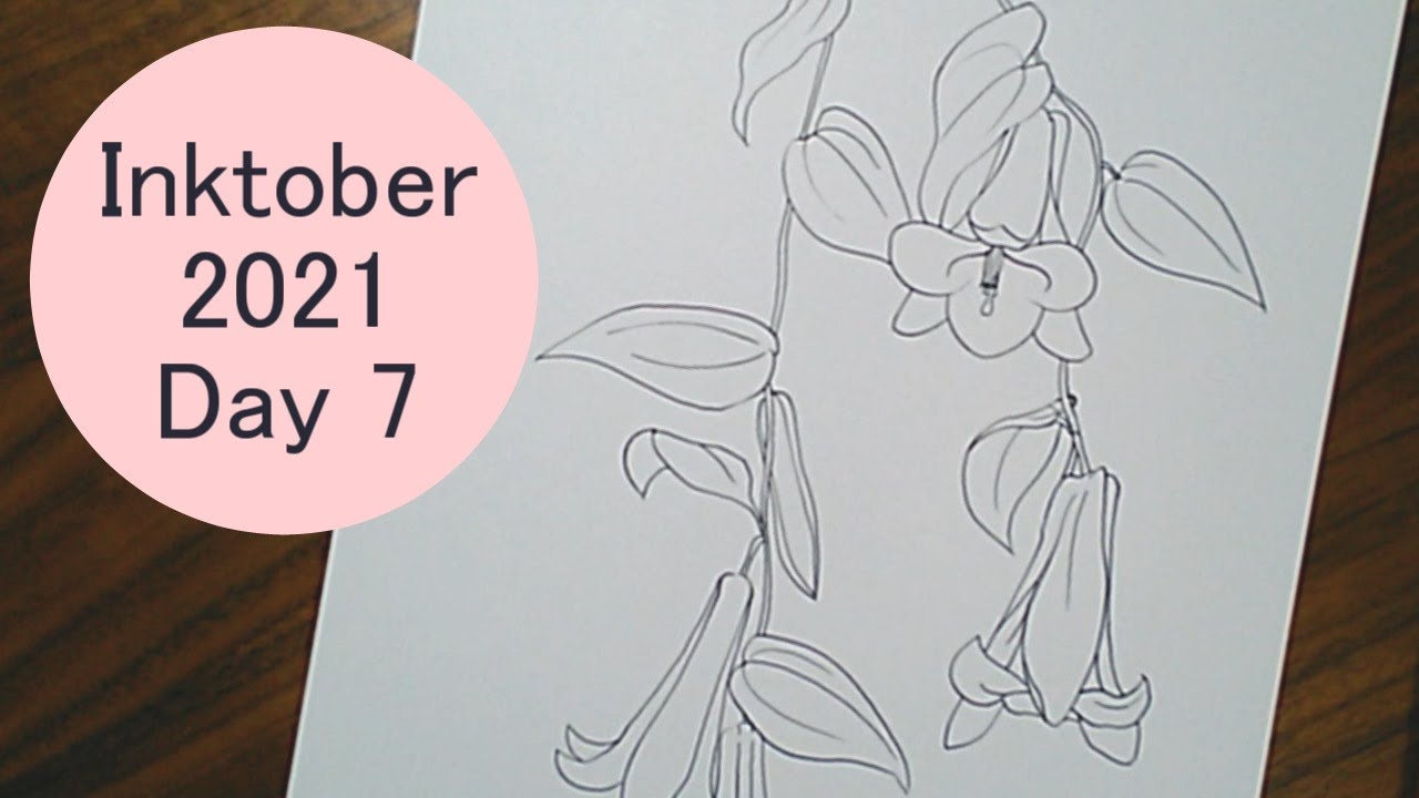 Inktober 2021 day 7 | Ink drawing flowers - YouTube