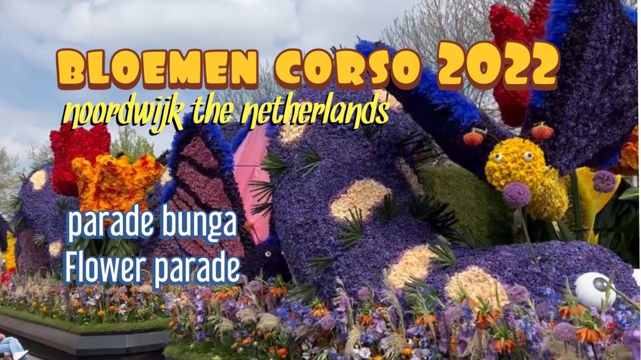 Netherlands Flower Festival 2019 | Best Flower Site