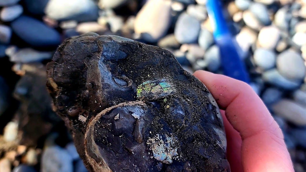 First Spring Rock Hunt | Agates & Ammolite #rockhounding - YouTube