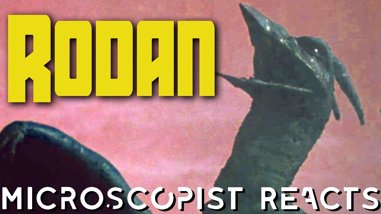Microscopist Reacts to Rodan (1956) | Instructinate - YouTube