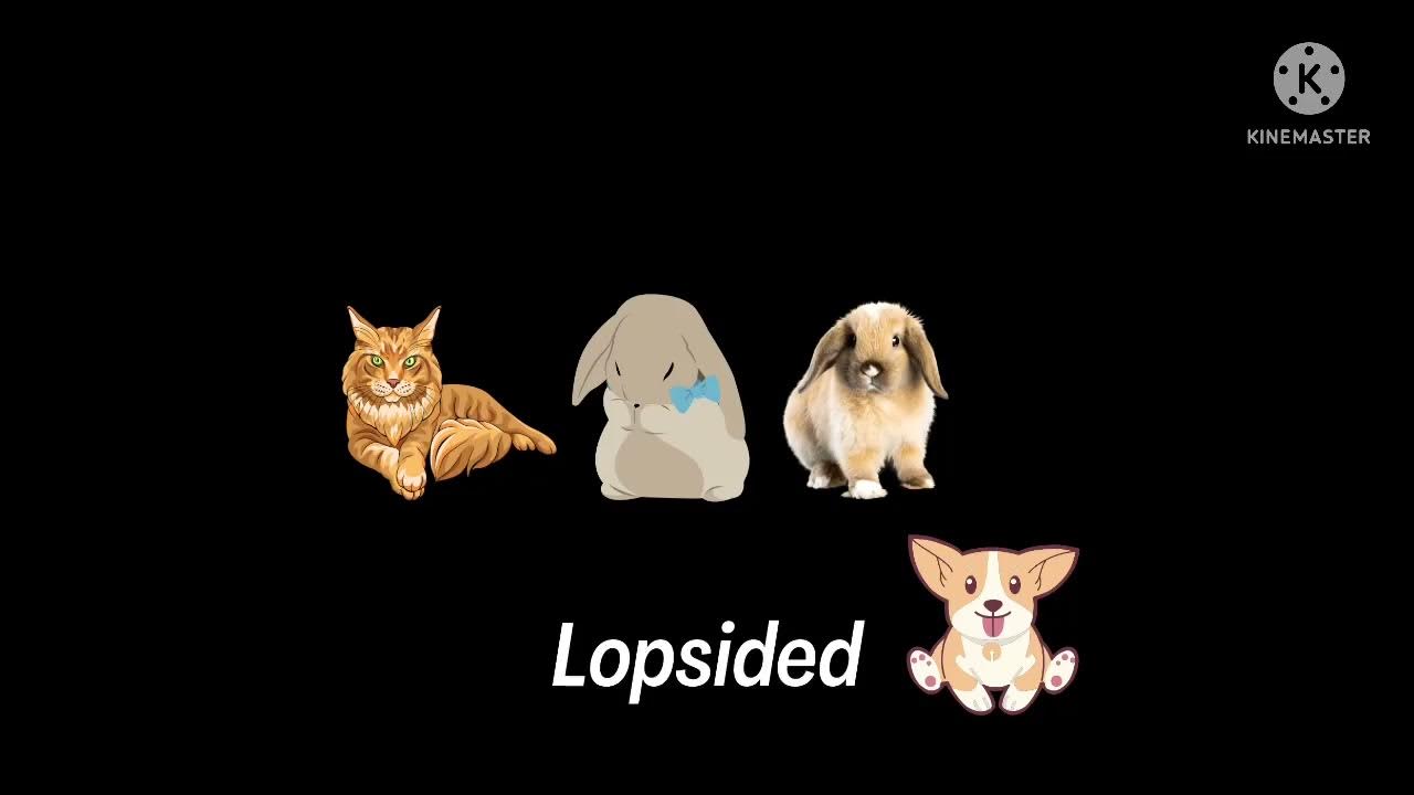Lopsided YouTube lopsided-youtube