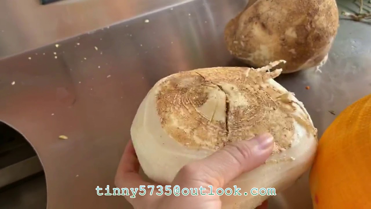 Jicama peeling Machine,Pumpkin peeling machine - YouTube