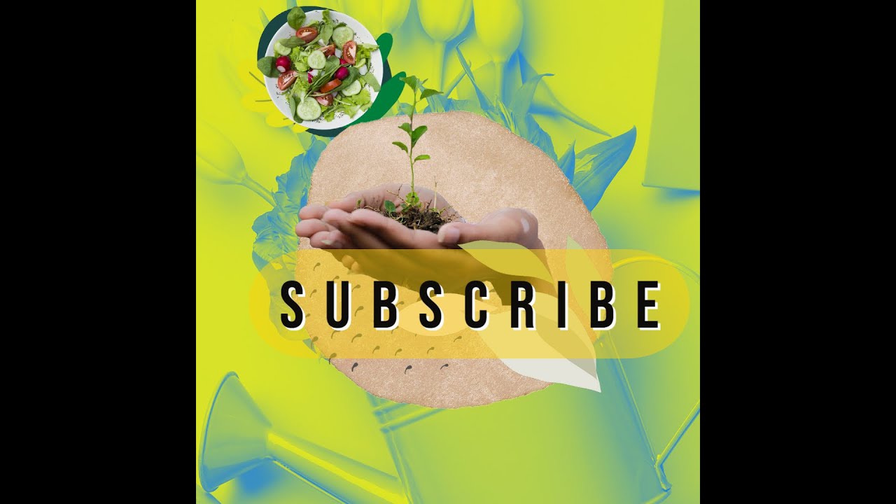 Creating a Small Food Hub/ Review / Learning - YouTube