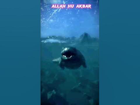 New islamic shorts 💥💥#shorts #viral #youtube #trending - YouTube