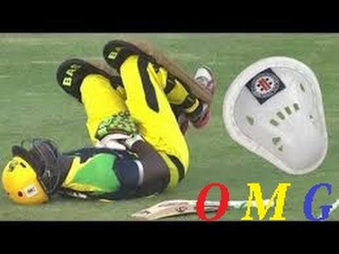 Painful Worst Injuries( BALL HIT ON NUTS) In Cricket Matches History In ...